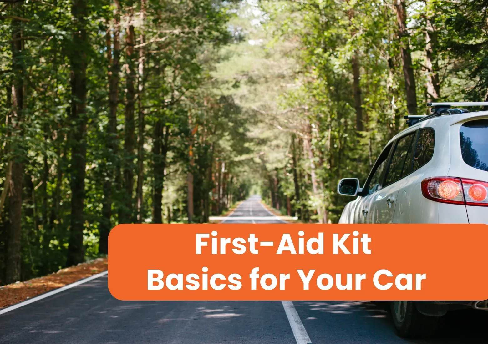 First-Aid Kit Must-Haves for Your Car: Be Ready for Anything, Big or ...